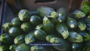 ANA Airlines – Blueberry