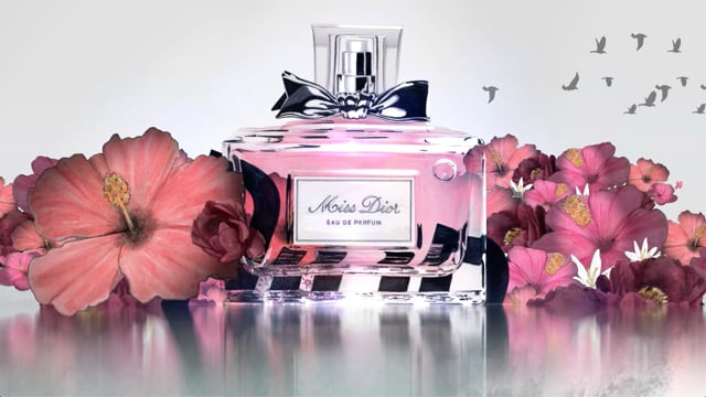 Dena Cooper Showcase – Blueberry