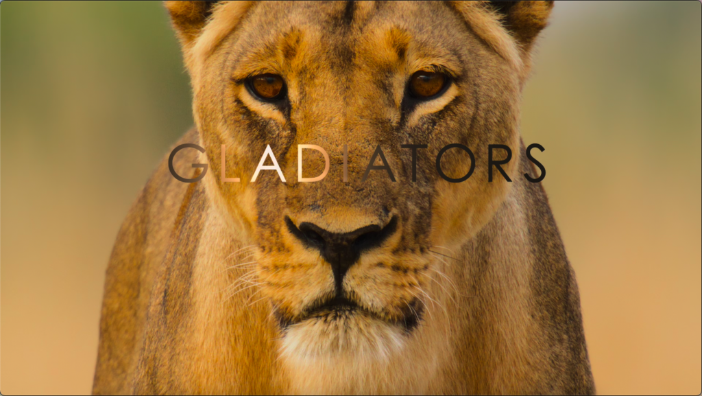 Gladiators – Blueberry